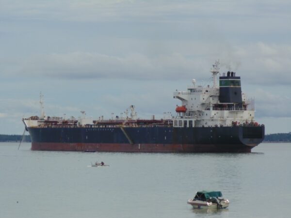 MT GOLD OCEAN (EX +SIPEA+) – Shipbrokers